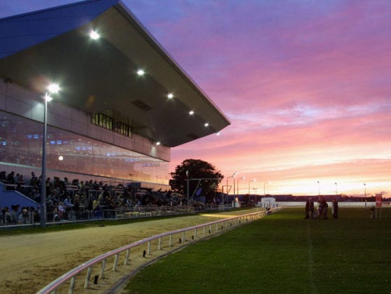 WATCH - GREYHOUNDS: GALWAY RESULTS – FRIDAY, 1ST JUNE 2018 - Galway Daily