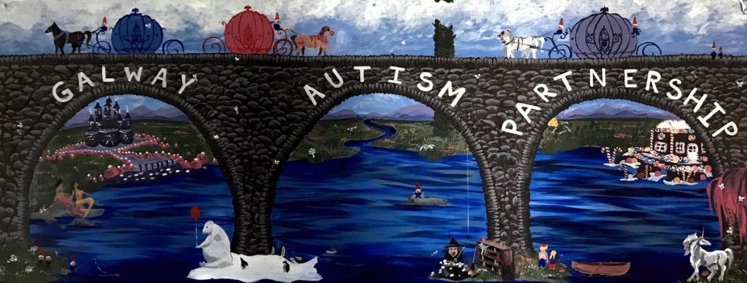 Local TDs demand funding for Galway Autism Partnership in crisis ...