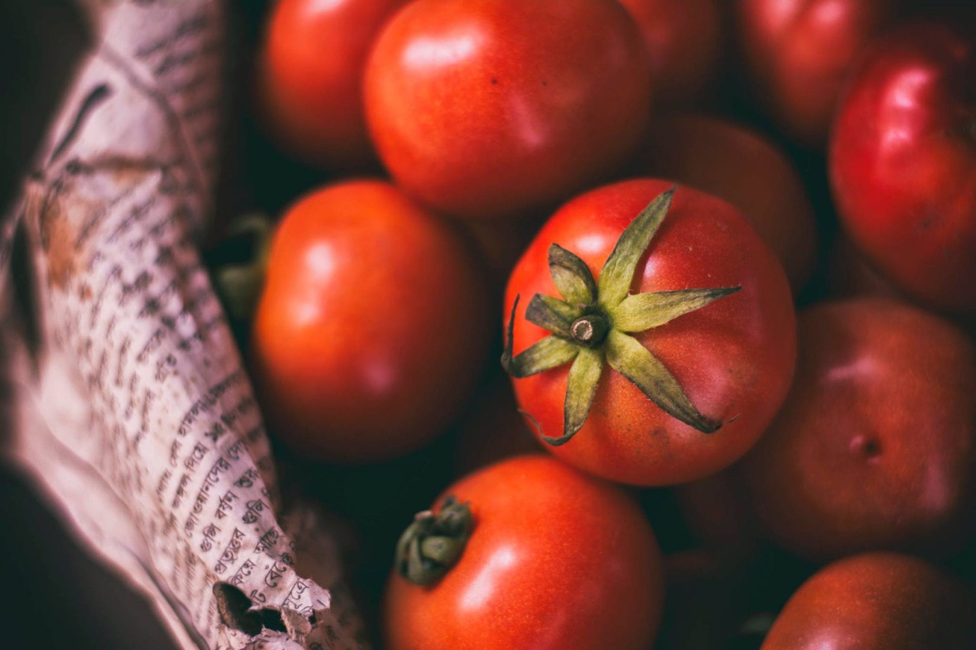 Spicy tomatoes may be on the table with gene editing technology ...