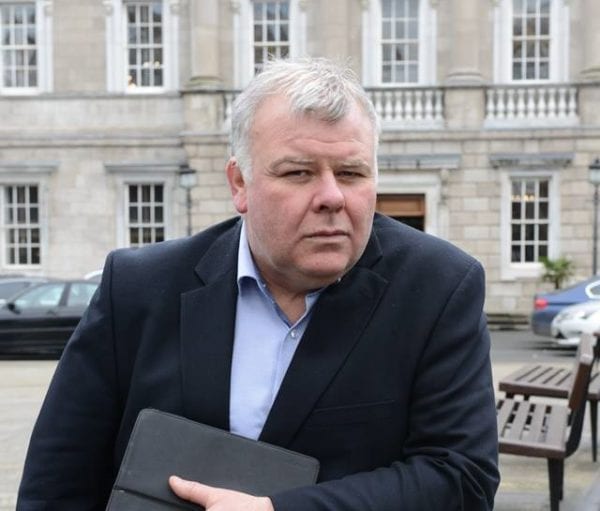 Michael Fitzmaurice accuses Green Party of "childish antics" in time of ...