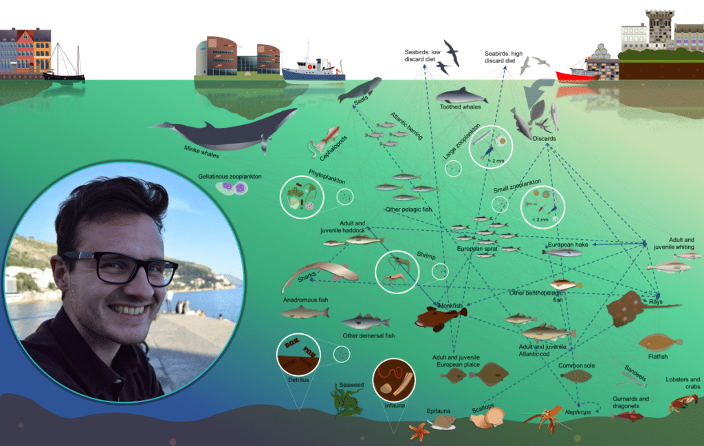 Galway's Marine Institute helps thread the tangled Food Web of the ...