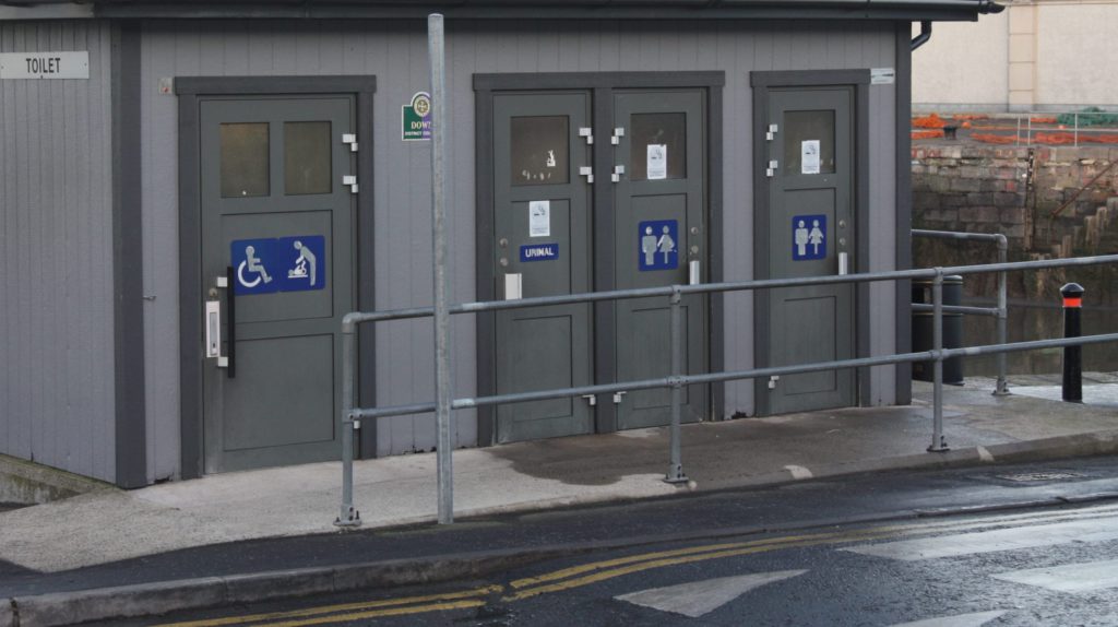 Council must install fully accessible public toilet in Ballinasloe says ...