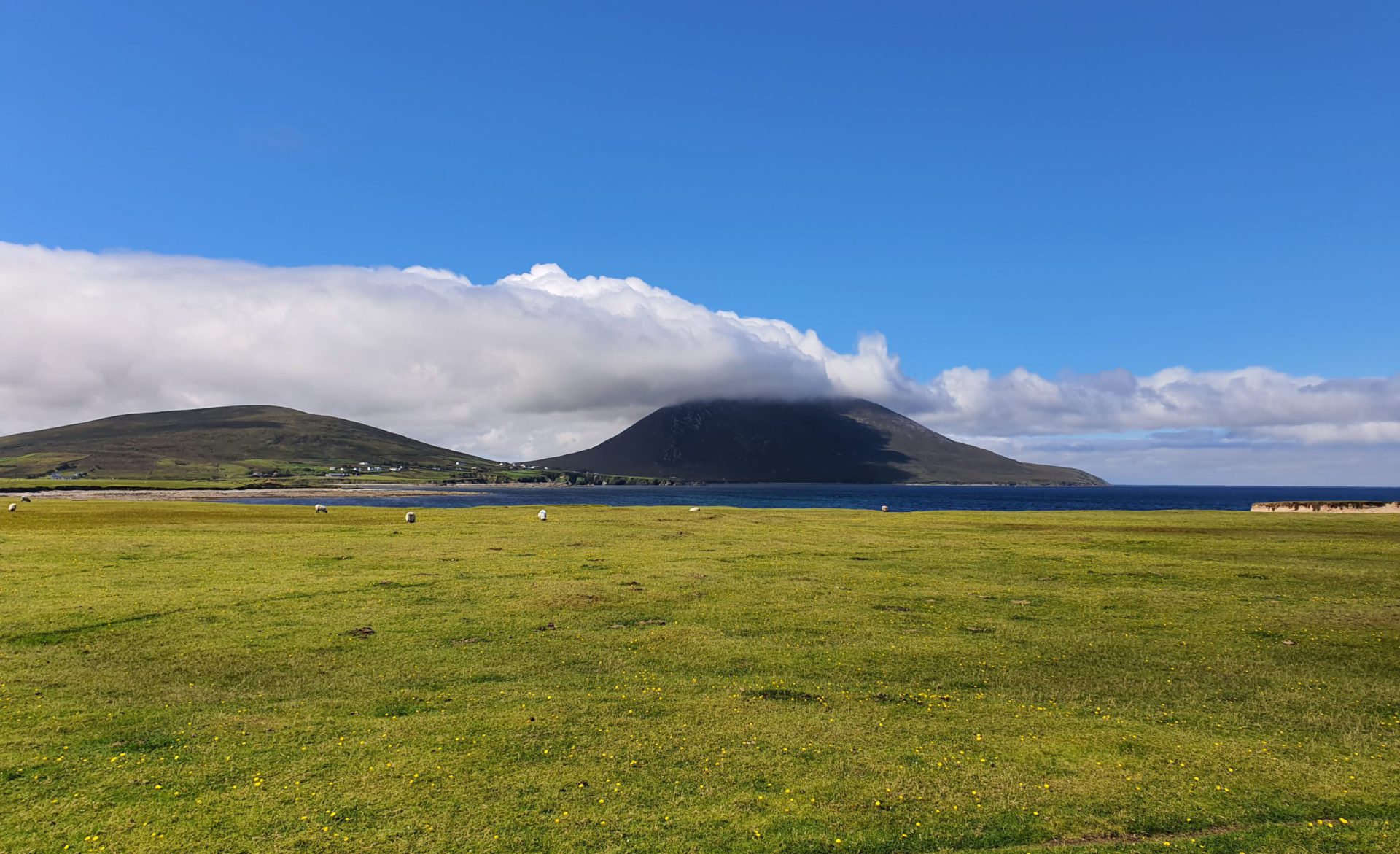 Multi-million euro project to protect and restore coastal Machair lands ...