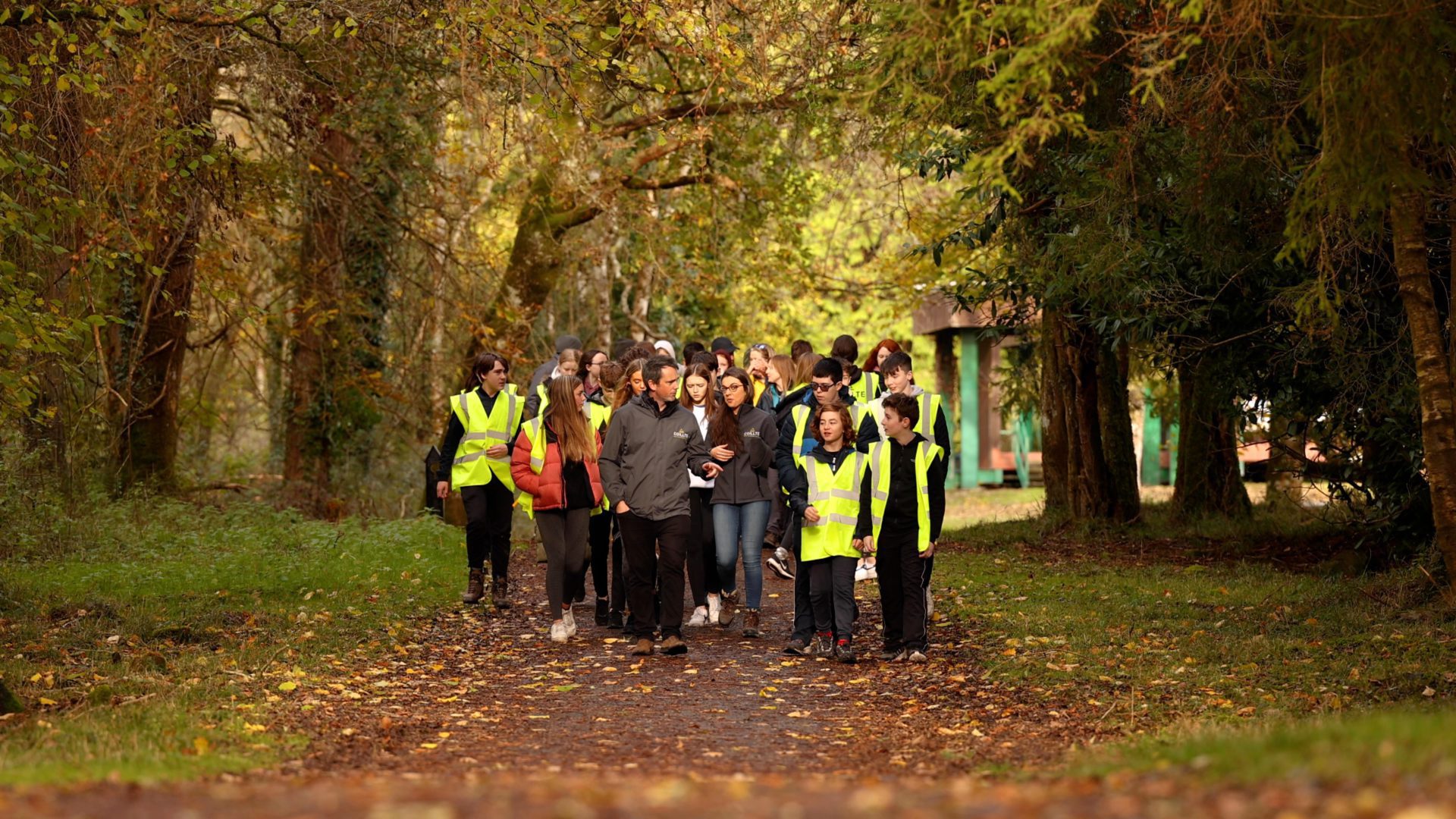 Mercy College students learn the importance of forests - Galway Daily