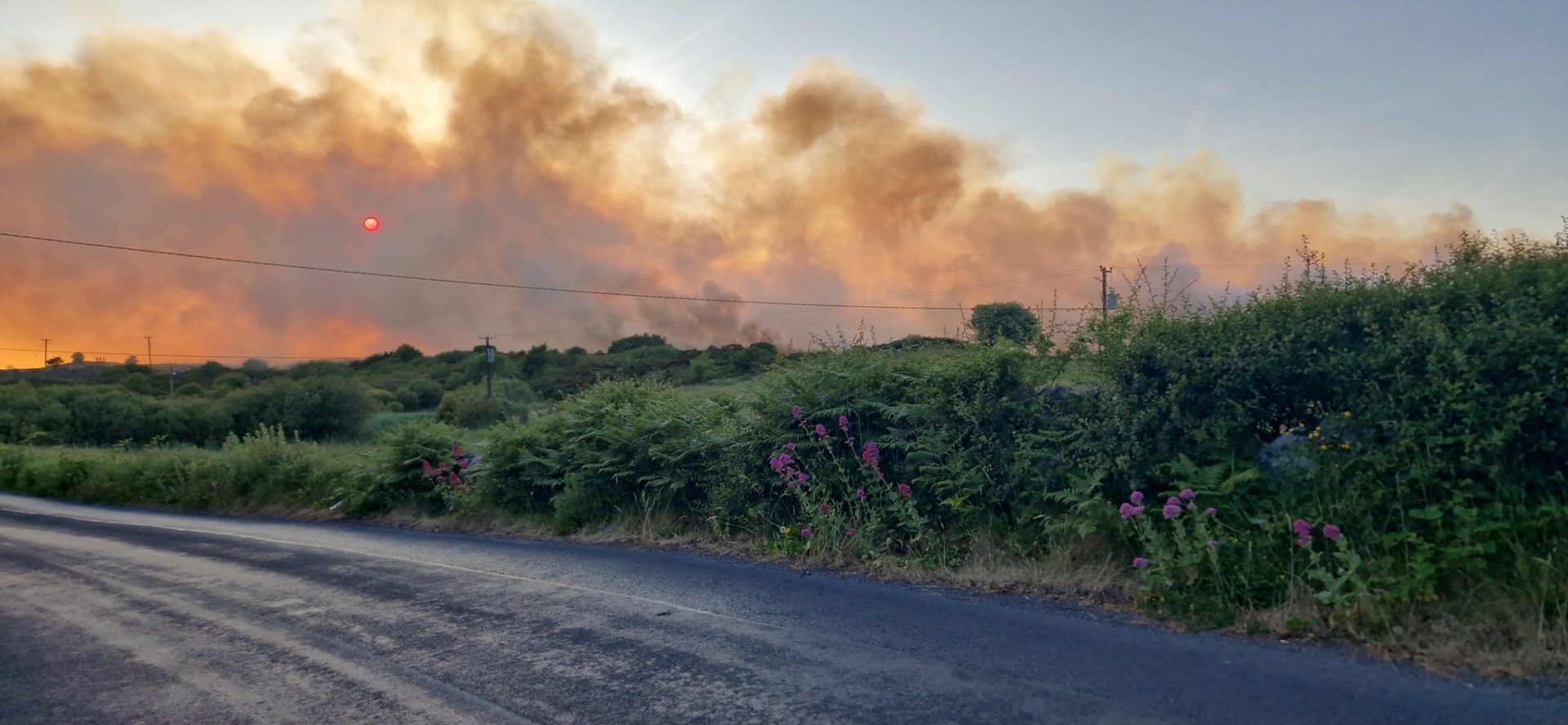 Orange Warning for forest & gorse fires risk to last into next week ...