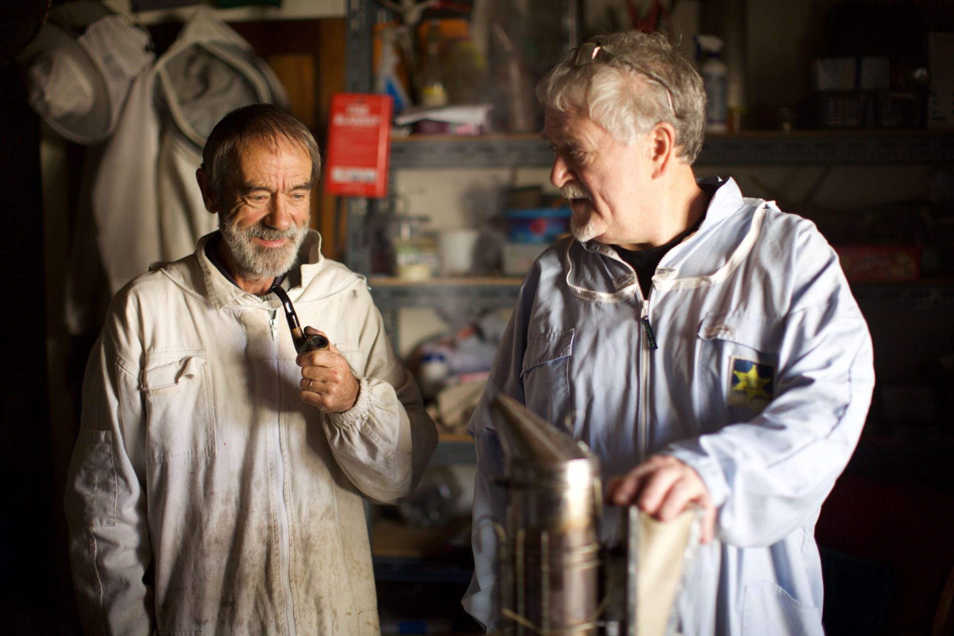 Meet the Connemara man dedicated to preserving the native Irish Black ...