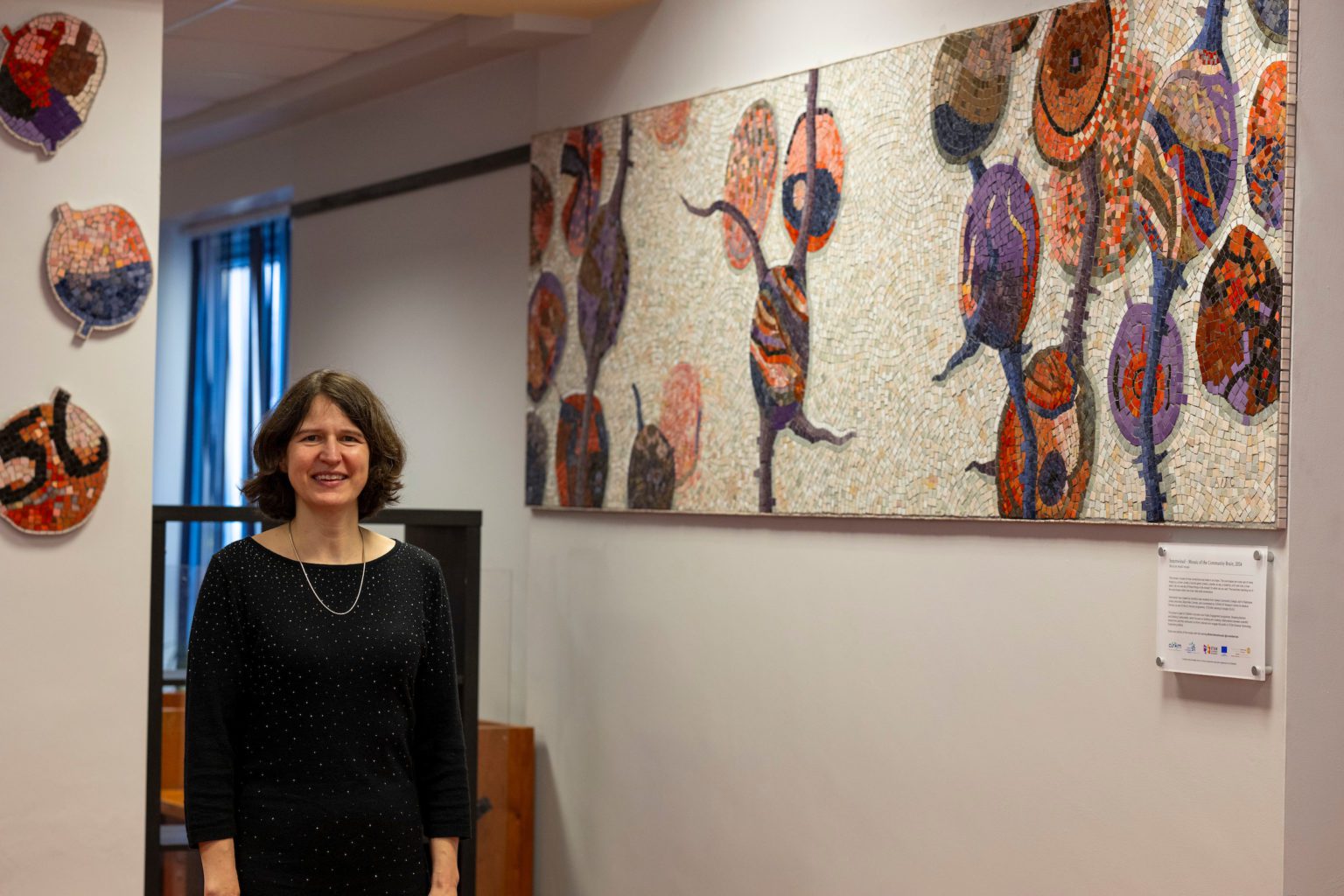 New mosaic celebrating science of the brain unveiled at Ballybane ...
