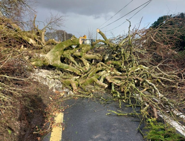 Storm Éowyn: Cleanup to continue Saturday with many roads blocked and ...